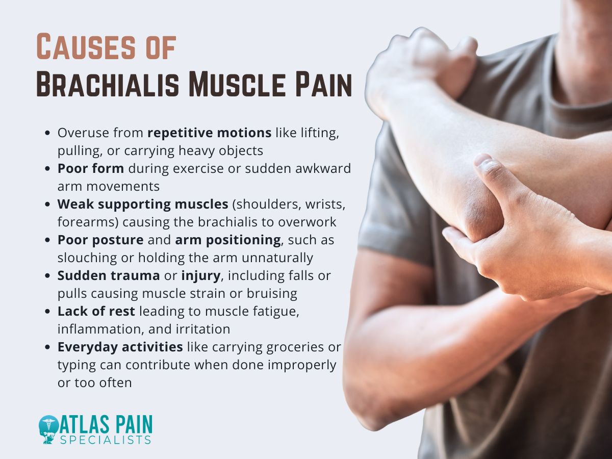 Causes and Symptoms of Brachialis Muscle Pain